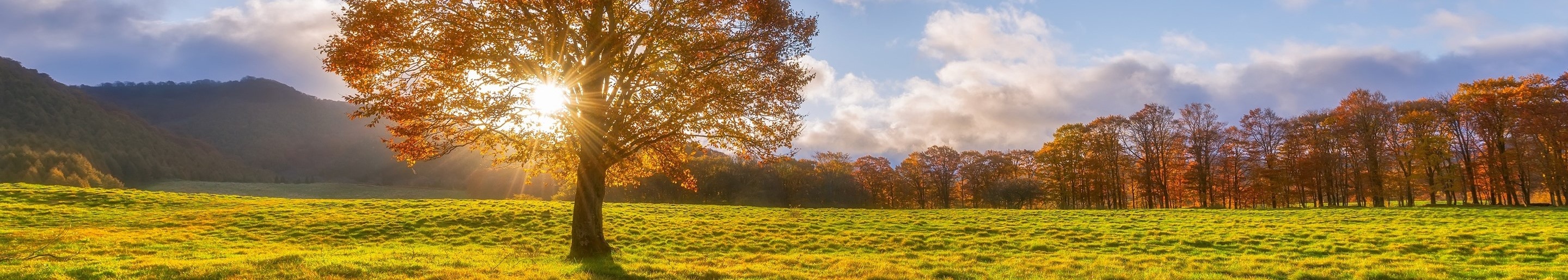 ACRONYX Herbstwatscheln Gut Steimke